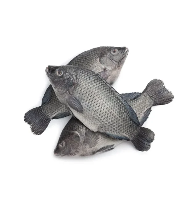 POA Whole Tilapia Fish – Red & Greens Africana Food Store